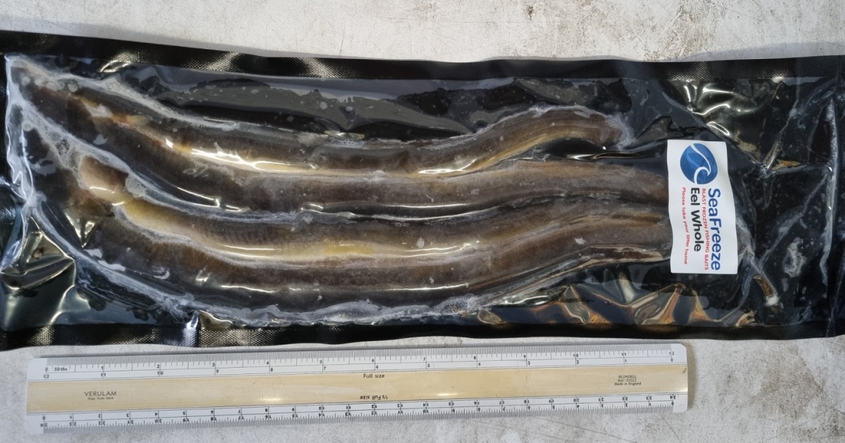 Eels